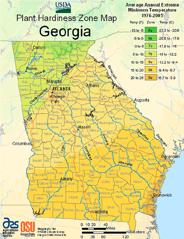 Plant Info/Zone Map | Grower's Outlet LLC - buy direct from the grower ...